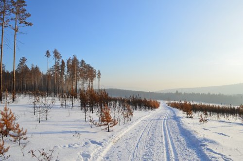 Frío en Rusia: Vivir en Oymyakon a -62 grados | Clima