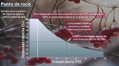 ¿Qué es el rocío y por qué se forma de madrugada? | Clima.com