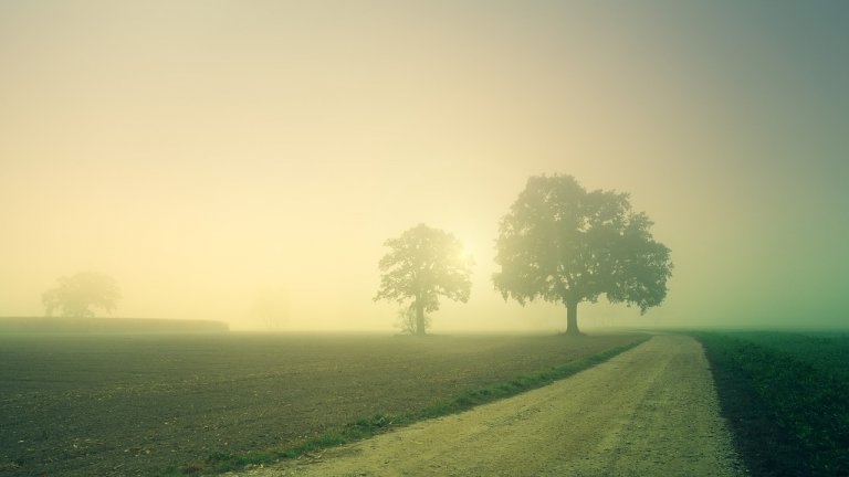 ¿Cuál es la diferencia entre niebla, neblina y bruma? | Clima.com