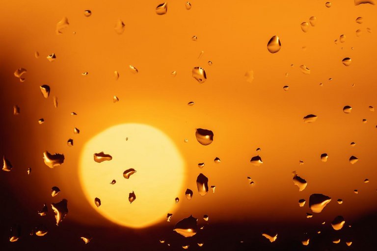 Clima tropical: características, temperatura y plantas | Clima.com